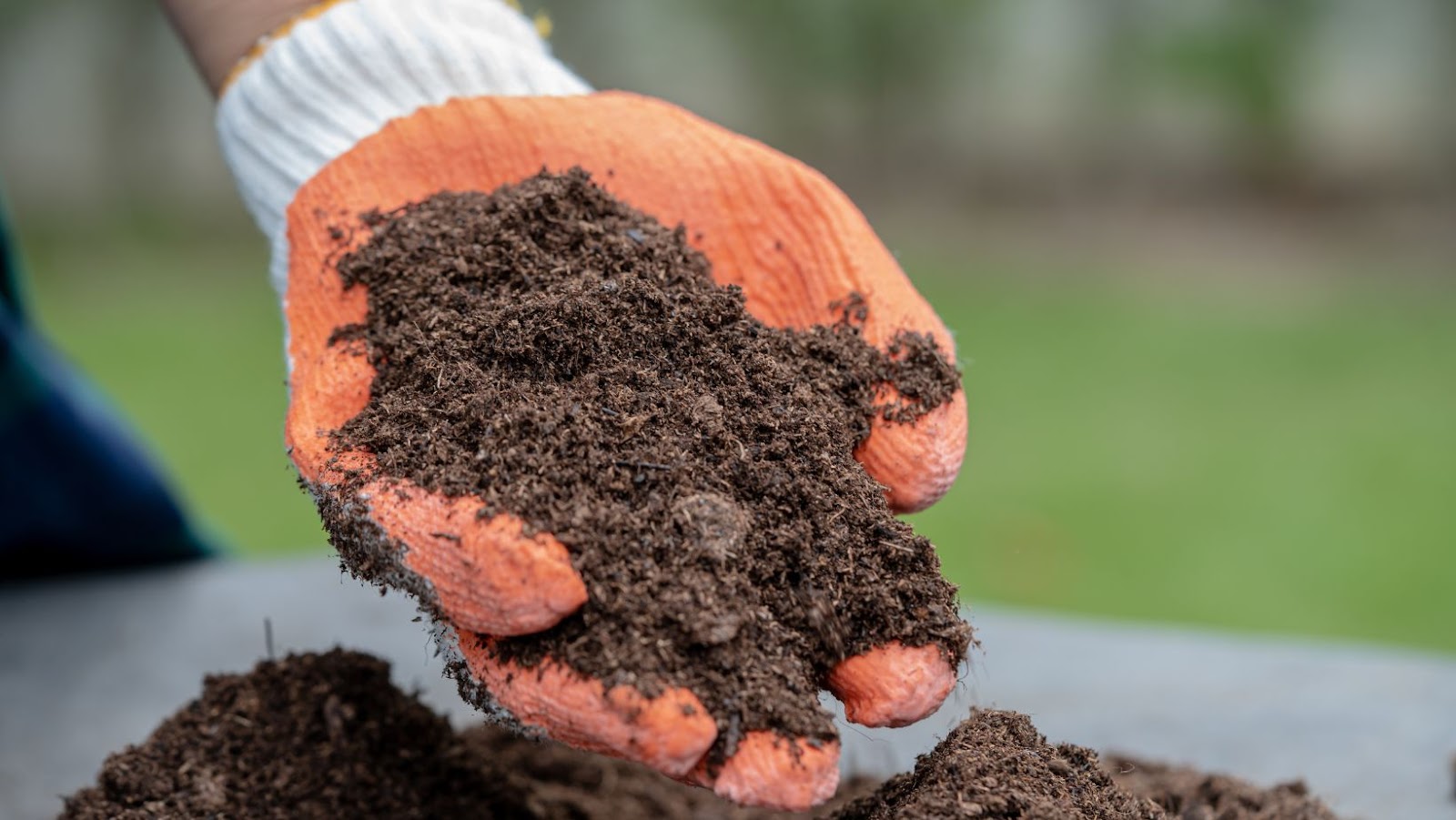 Peat Moss: The Plant Lover's Friend - Active Property Care