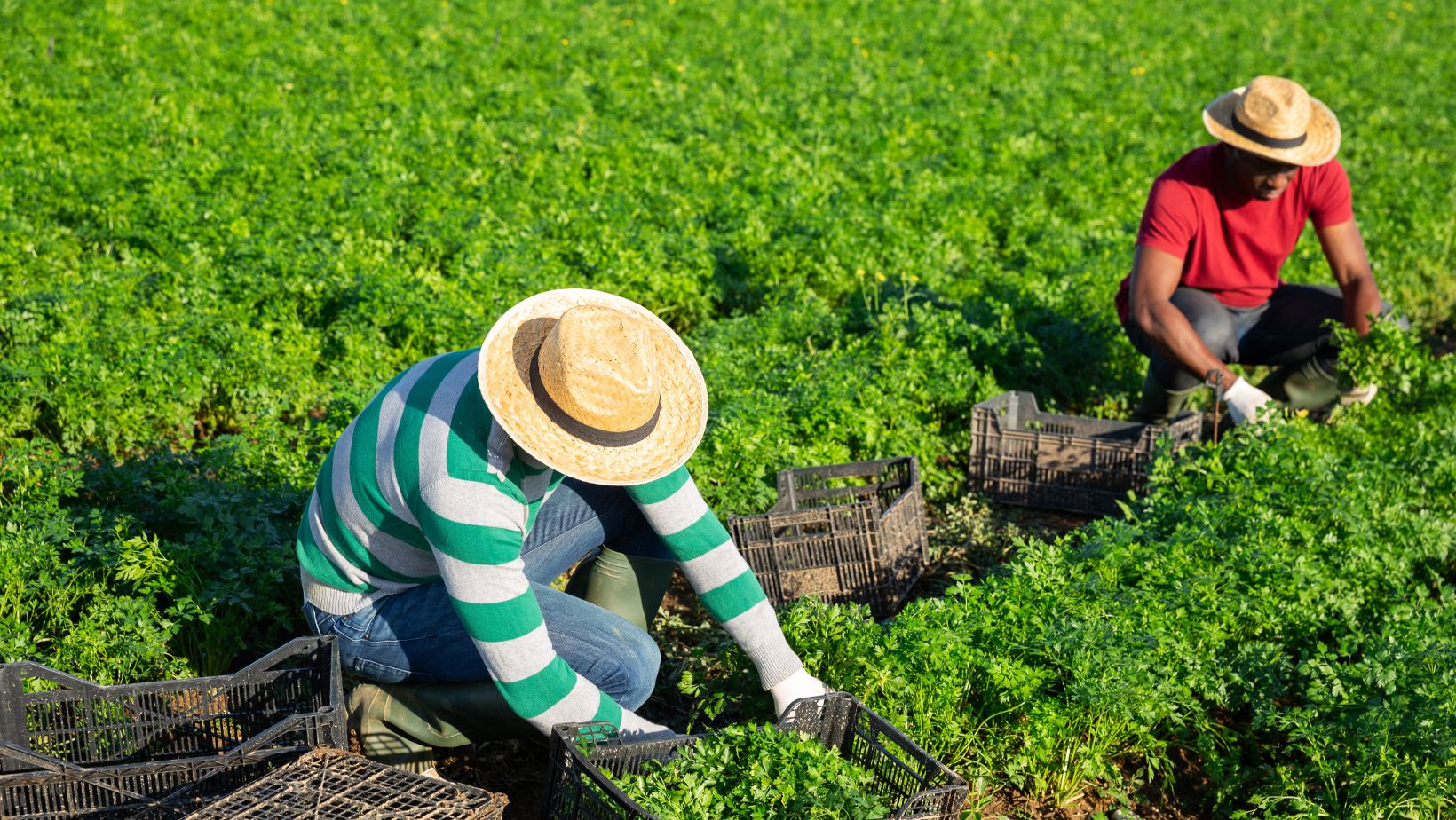 5 Ways to Increase Farm Efficiency - Activepropertycare